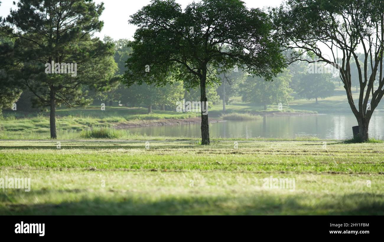 Midmar forest hi-res stock photography and images - Alamy