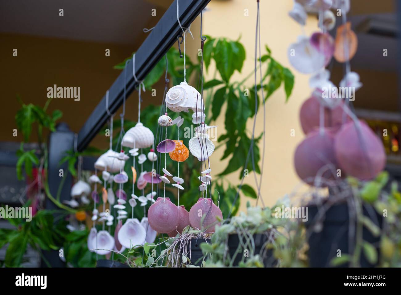 Decorations made from sea shells are hanging near the cafe. Decor ...