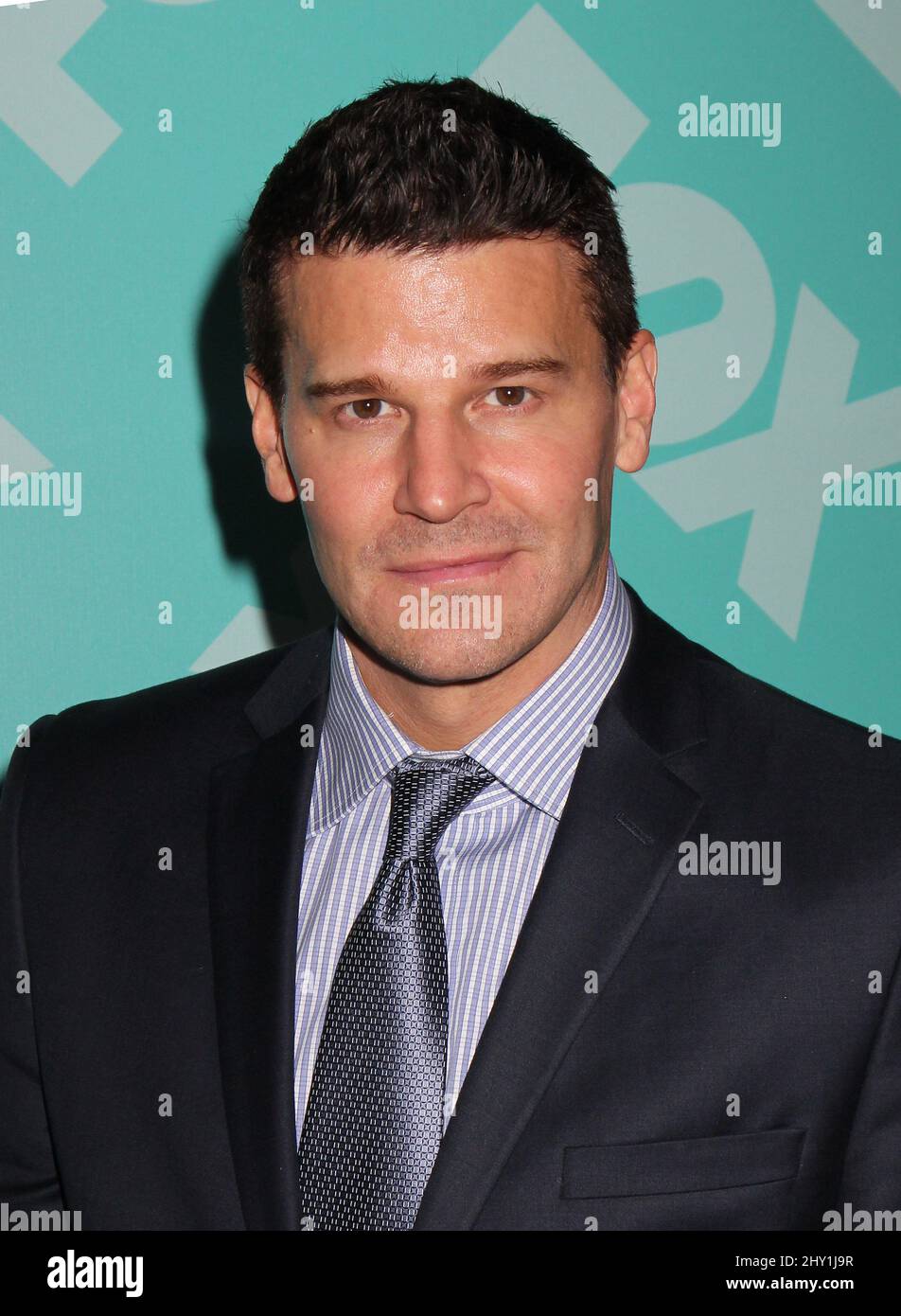 David Borneanaz attending the 2013 Fox Upfront Presentation in New York ...