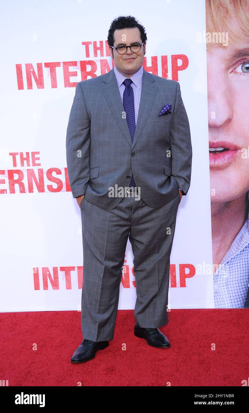 Josh Gad The Internship