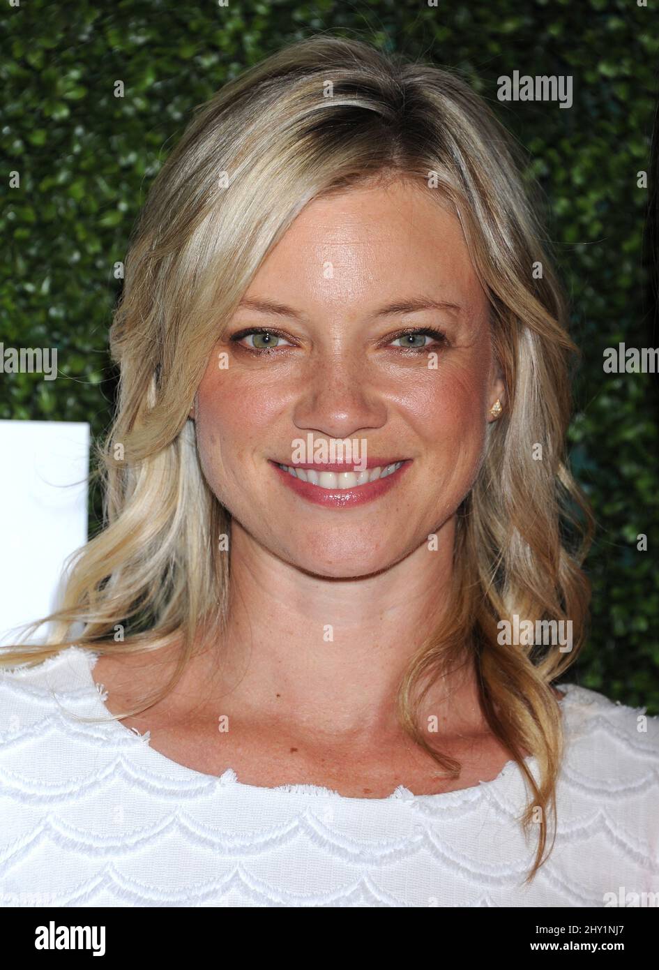 Amy Smart attends the Step Up Women's Network 10th Annual Inspiration ...