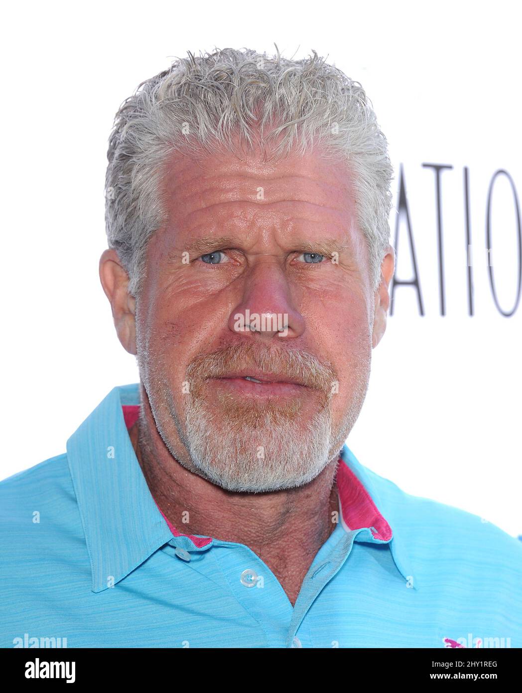 Ron perlman attedinfg hi-res stock photography and images - Alamy