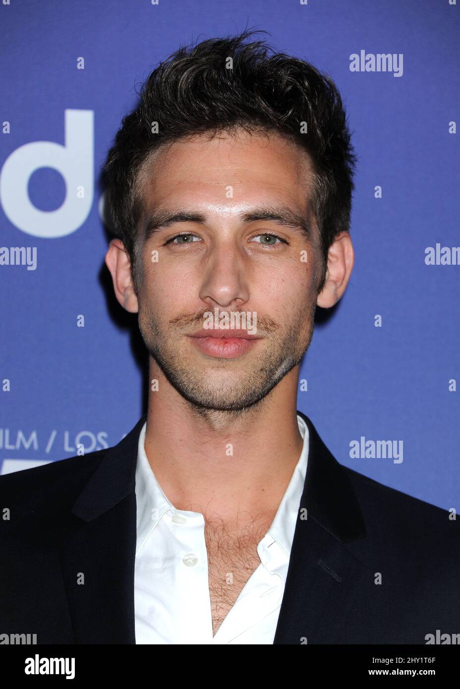 Blake Berris arrives at Women in Film's 2013 Crystal + Lucy Awards at ...