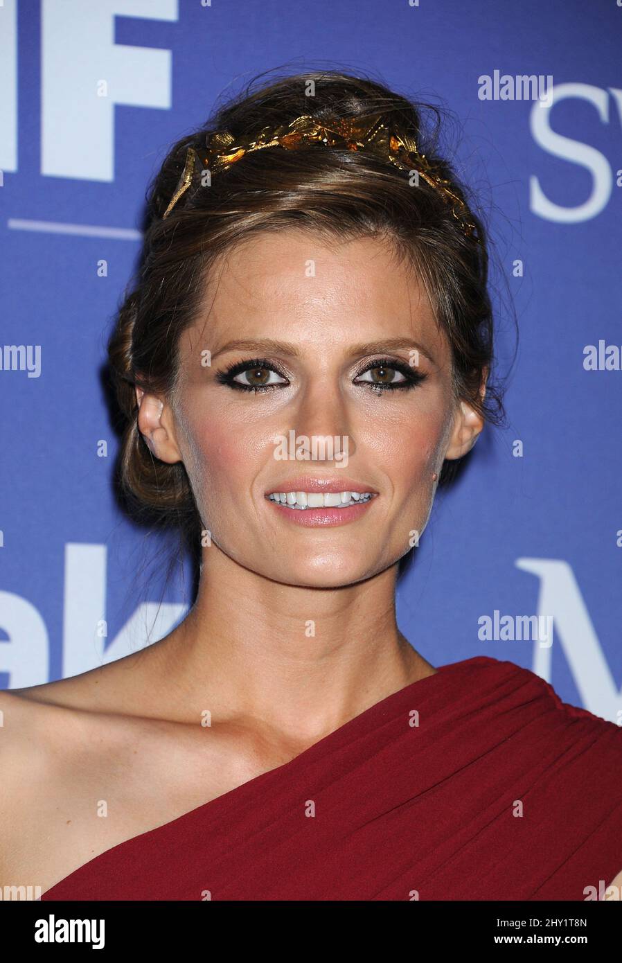 Stana Katic Eyeliner