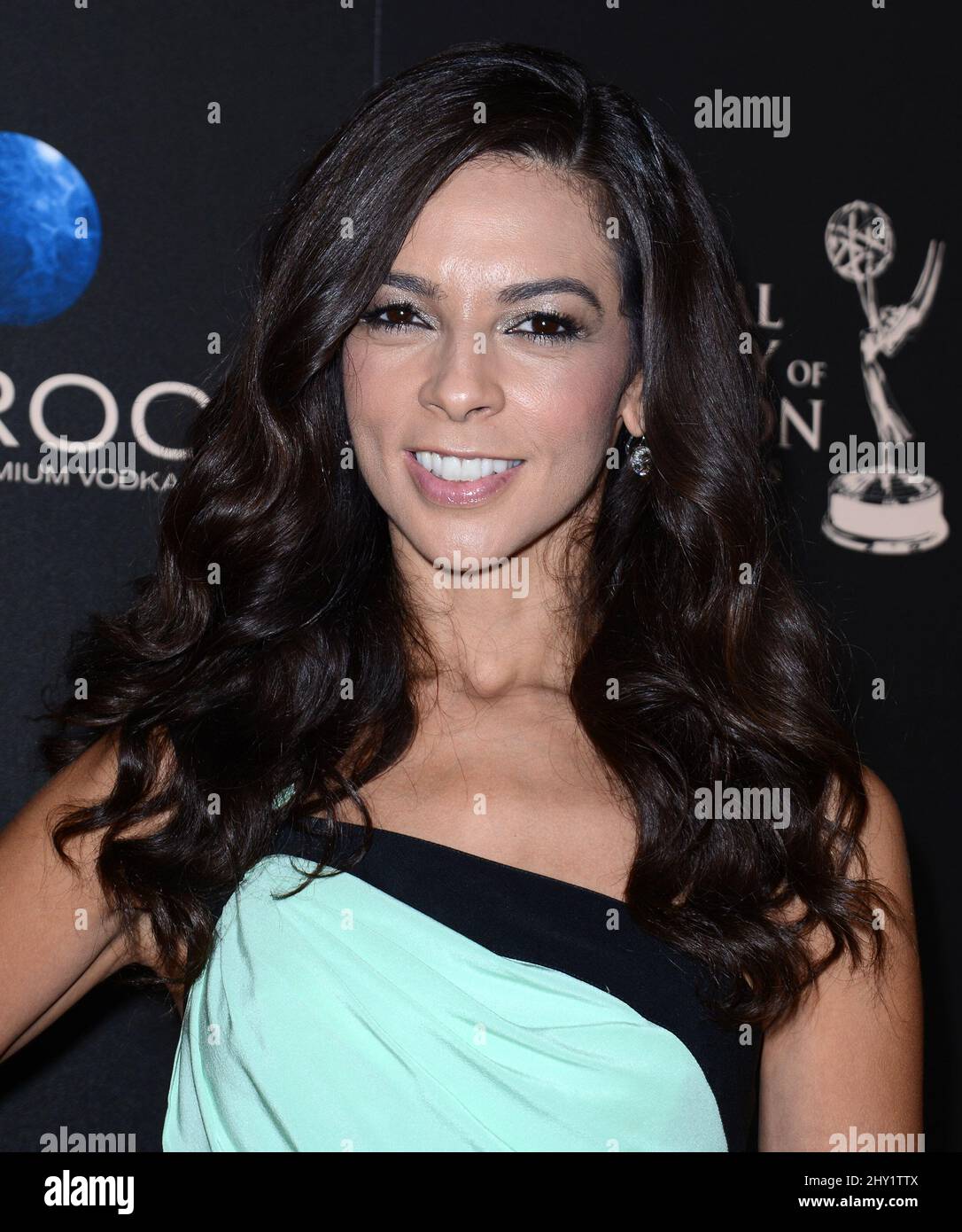 Terri Seymour attending the 40th Annual Daytime Emmy Awards in Beverly ...