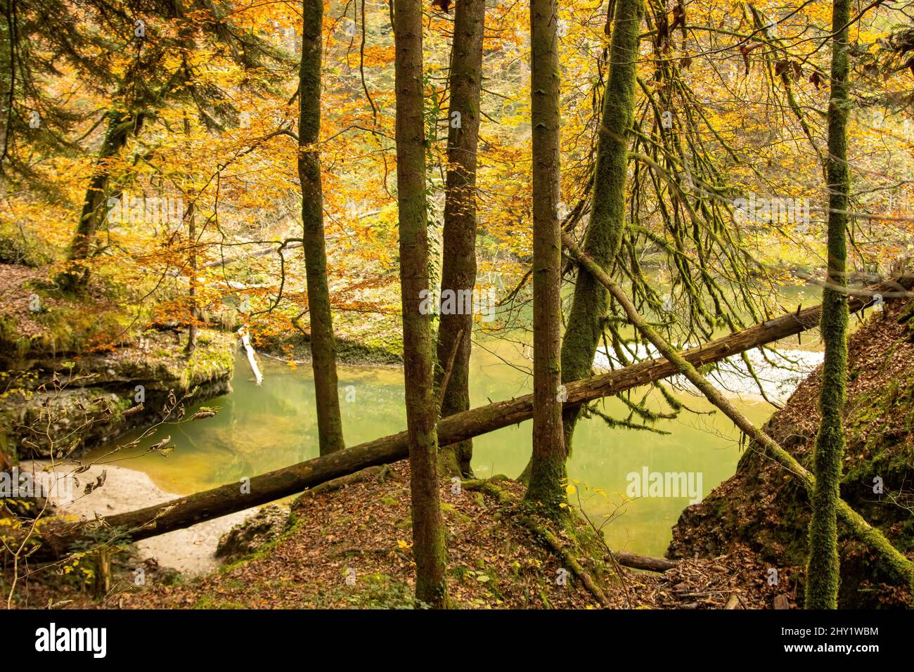 River sihl hi-res stock photography and images - Alamy