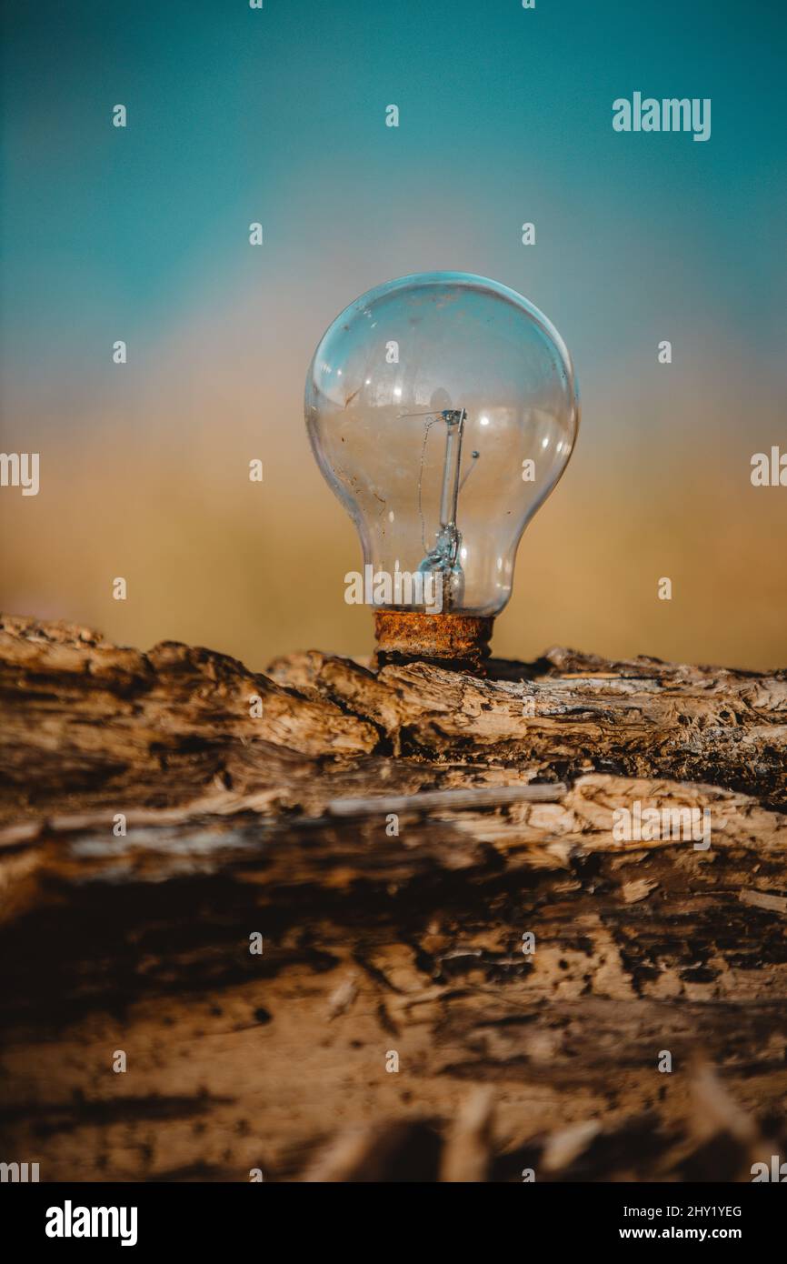 Closeup of a light bulb on a wood Stock Photo - Alamy