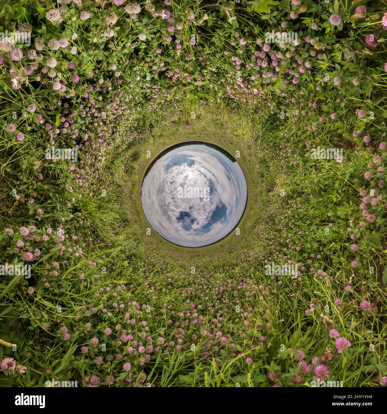 blue sphere little planet inside green grass round frame background ...