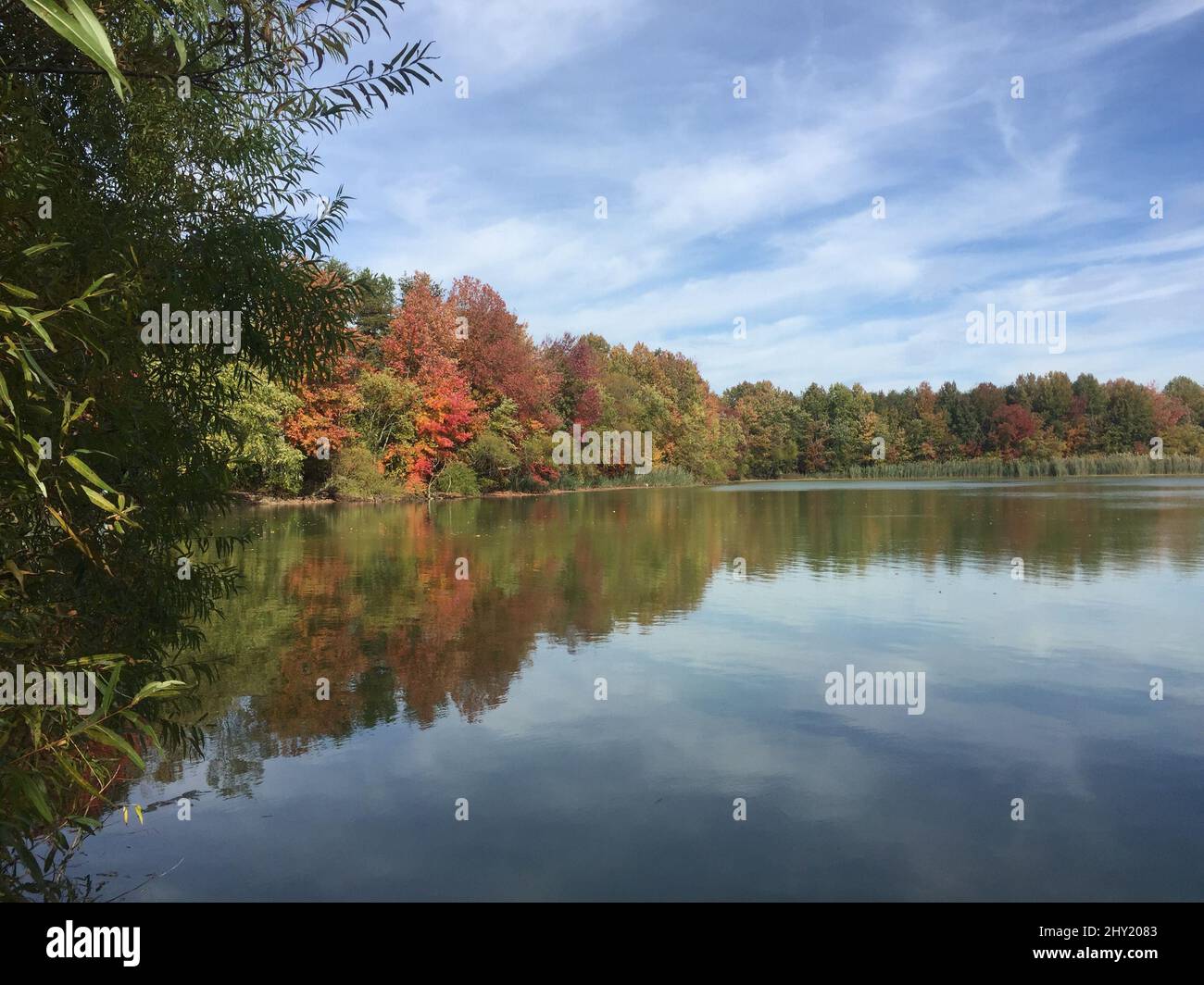 Beautiful view of a forest near a lake Stock Photo - Alamy