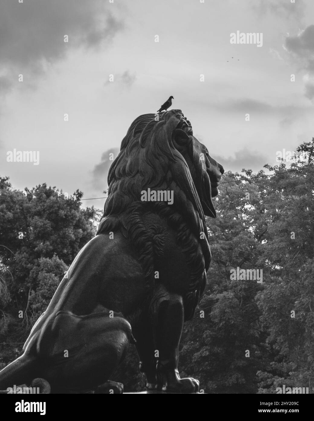 View beautiful statue outside Black and White Stock Photos & Images - Alamy