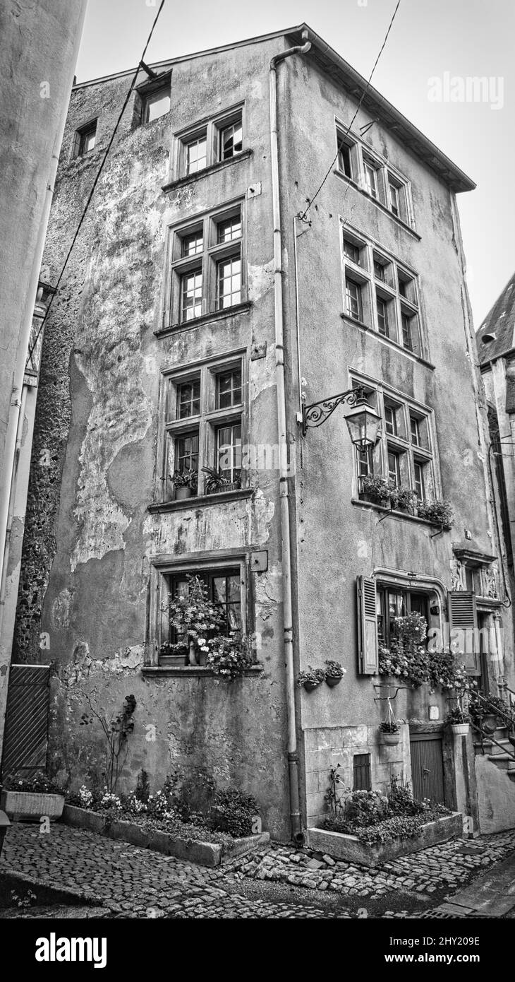 Grayscale of an old building with plants Stock Photo - Alamy