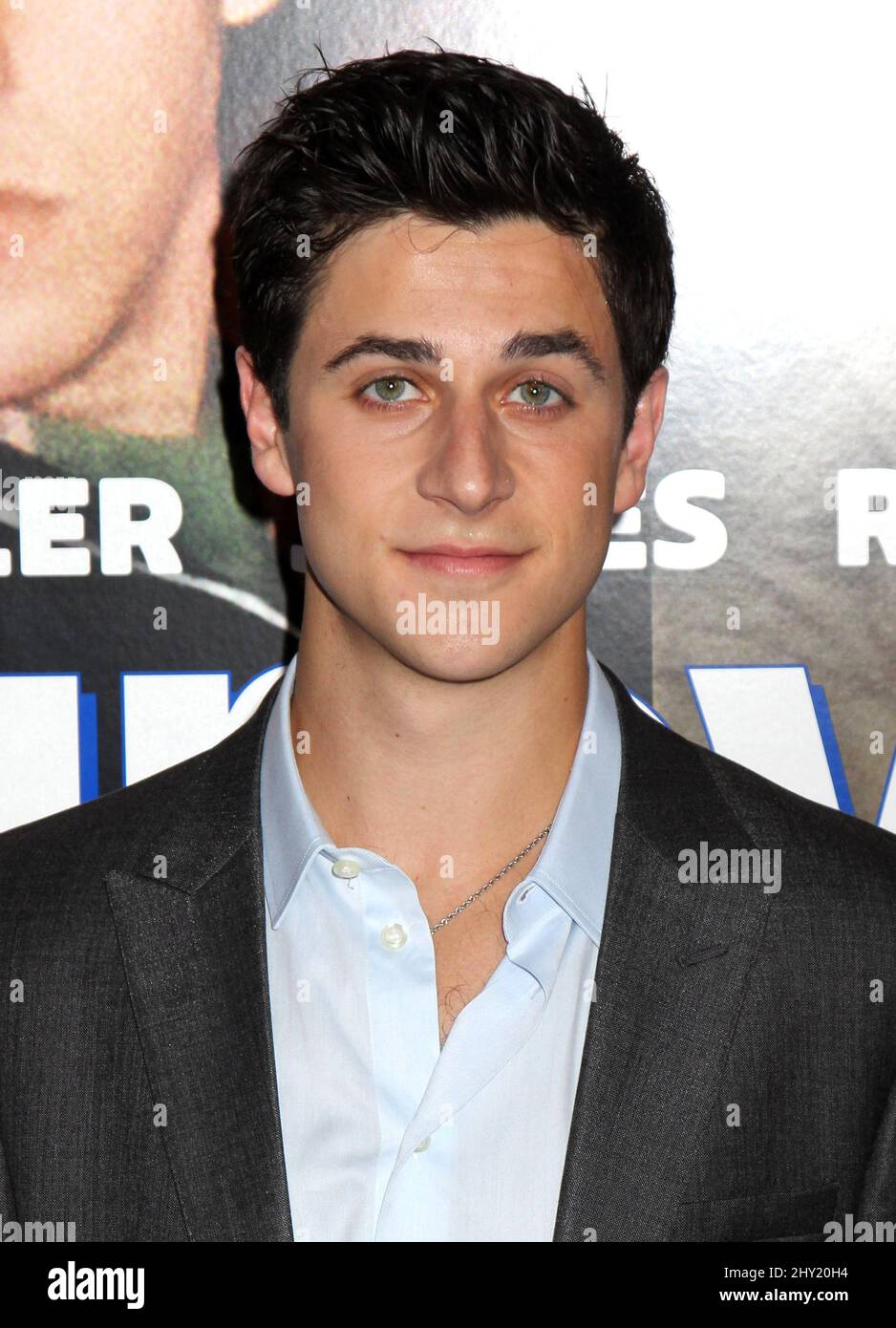David Henrie Grown Ups 2