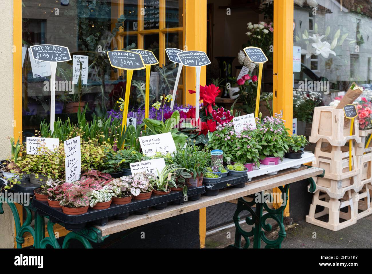 Display of flowers hi-res stock photography and images - Alamy