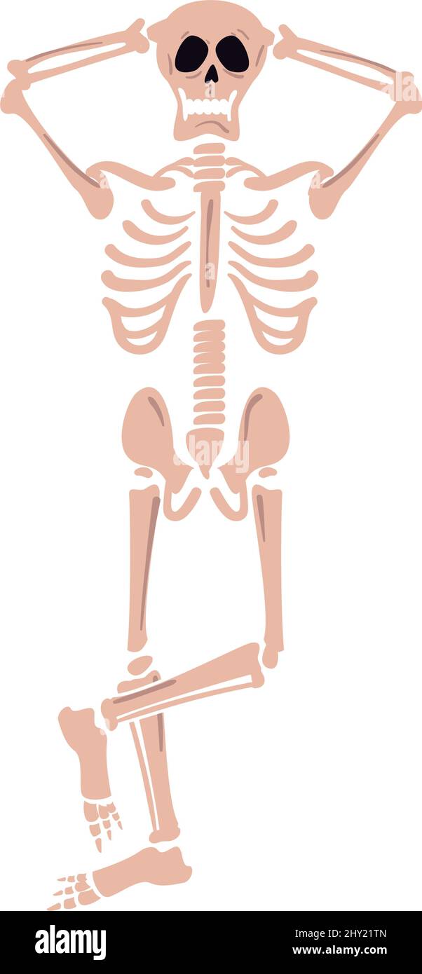 lying flat skeleton Stock Vector Image & Art - Alamy