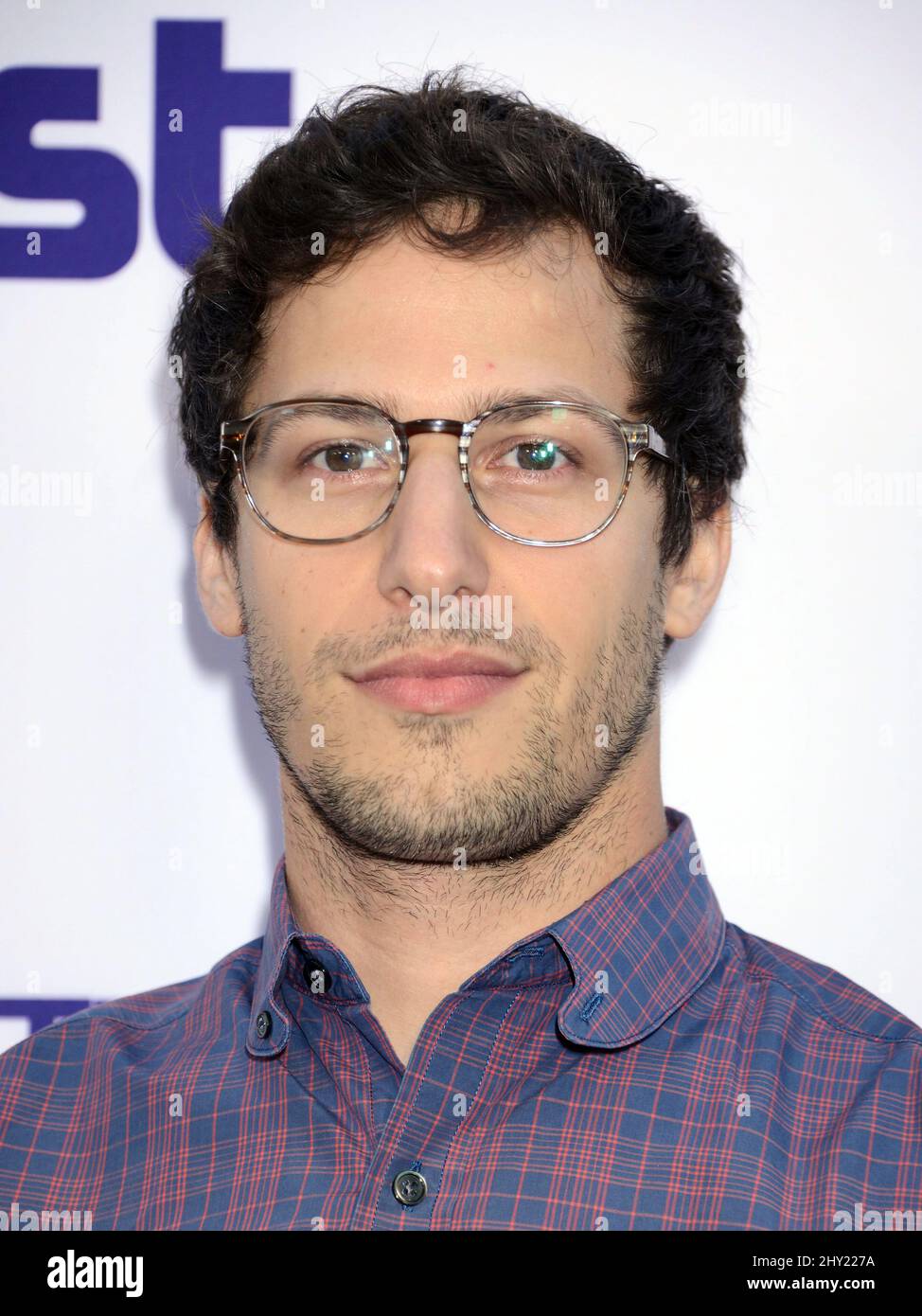 Adam Samberg attending "The To Do List" premiere held at the Regency ...