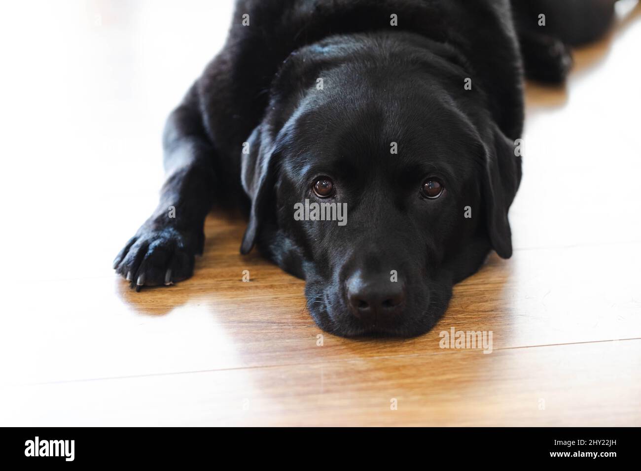 Sleep with open eyes hi-res stock photography and images - Alamy