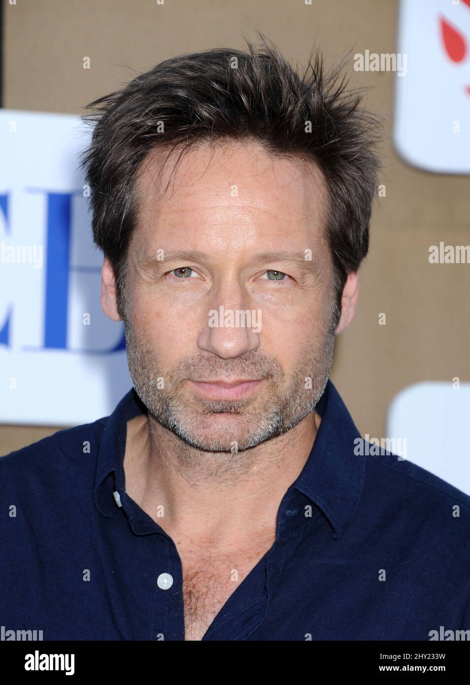 David Duchovney attending the CBS, Showtime and CW 2013 Annual Summer ...