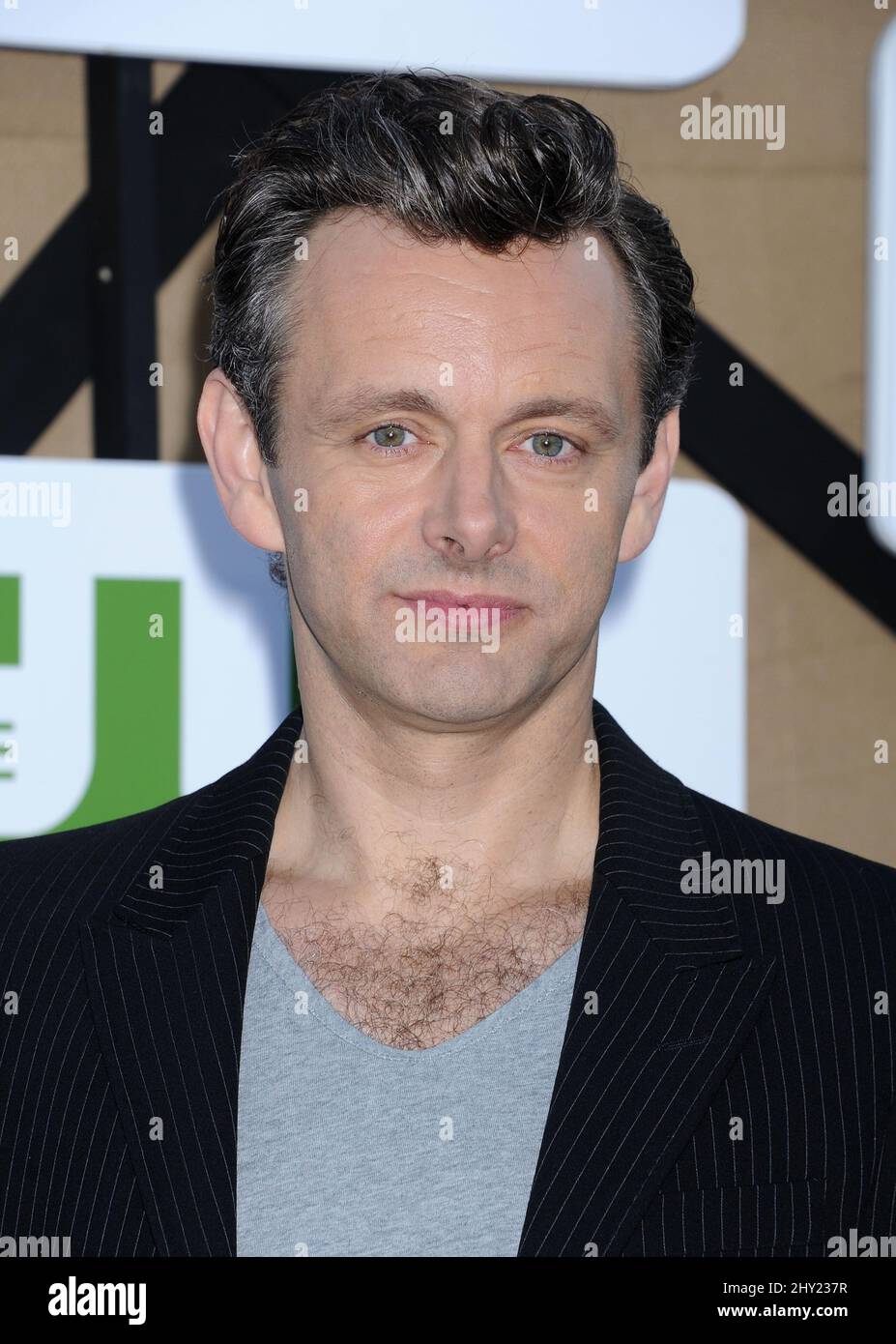 Michael Sheen attending the CBS, Showtime and CW 2013 Annual Summer ...