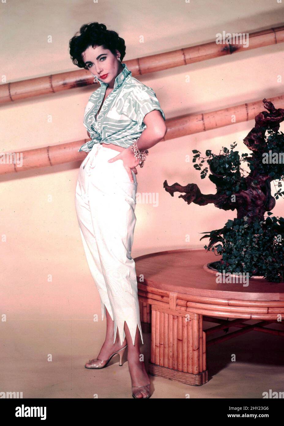 Elizabeth Taylor, circa 1955. File Reference # 34145-497THA Stock Photo ...