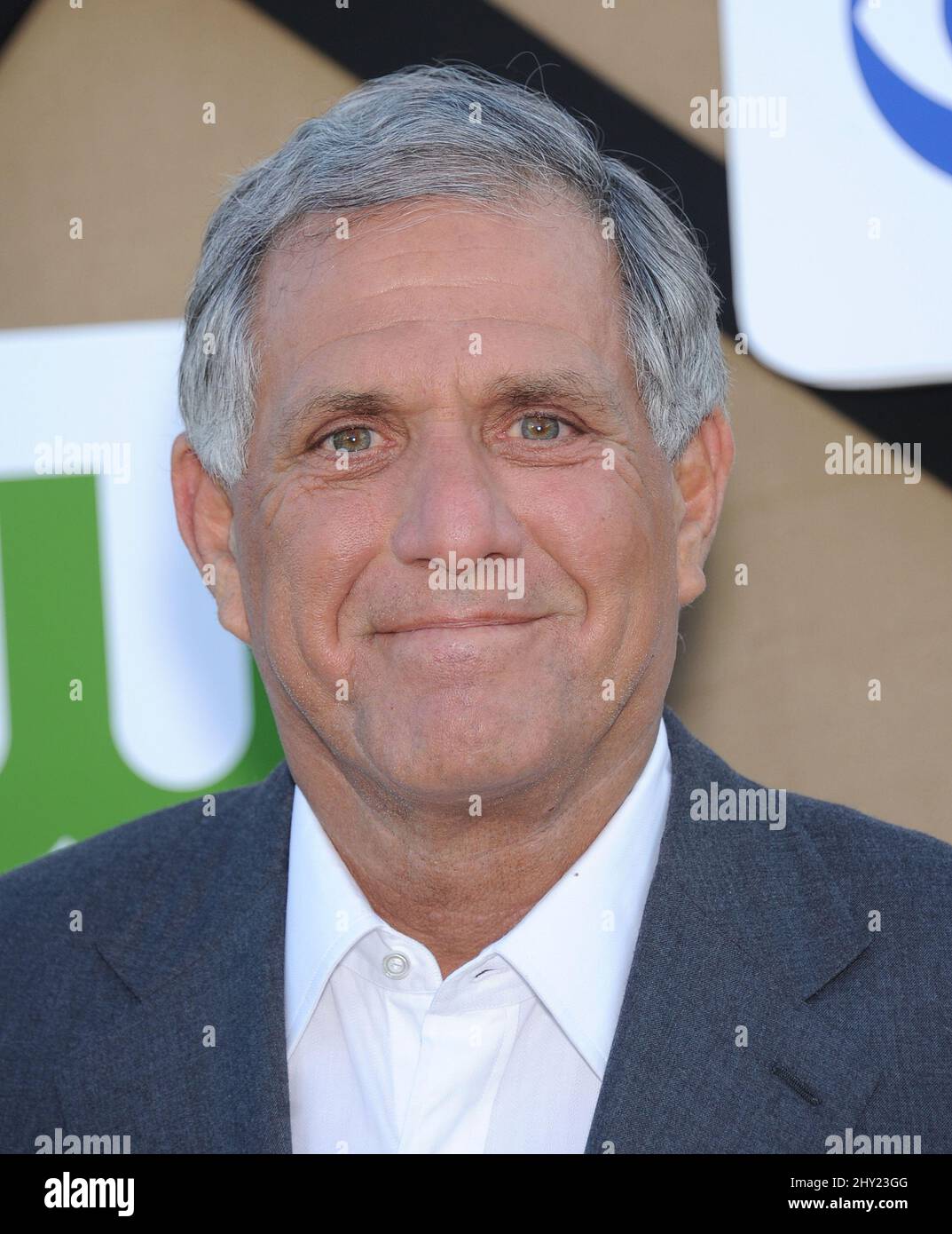 Les Moonves attends the CBS, Showtime and The CW 2013 Annual Summer ...
