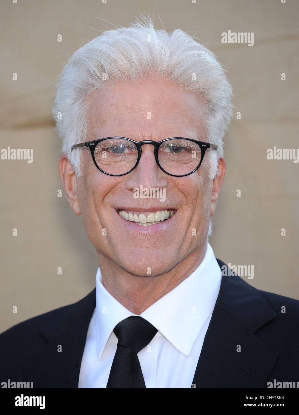 Ted Danson attends the CBS, Showtime and The CW 2013 Annual Summer ...