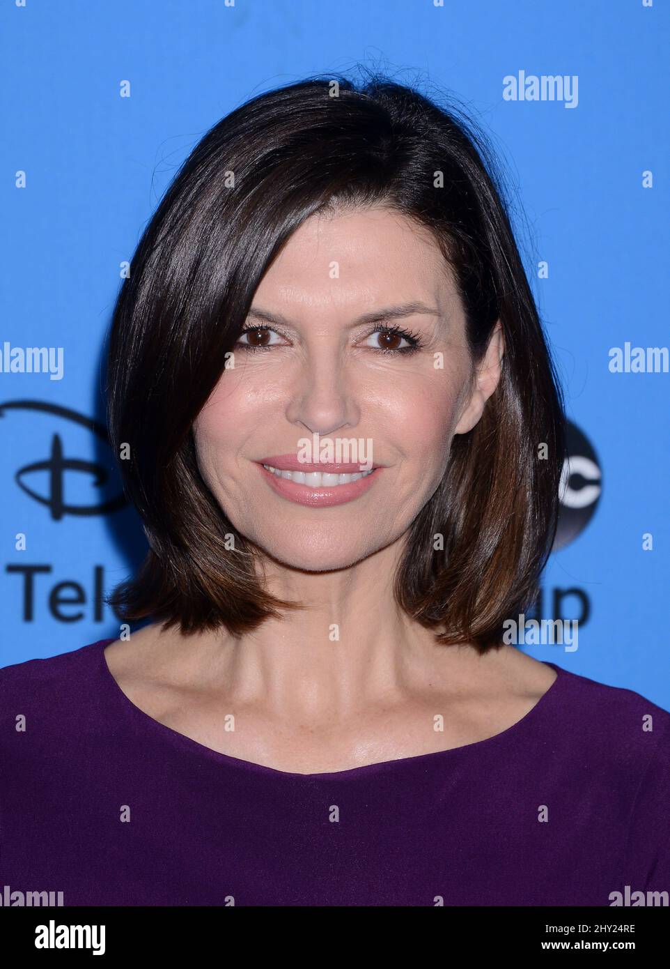 Finola Hughes attends the ABC Summer TCA Press Tour held at the Beverly ...