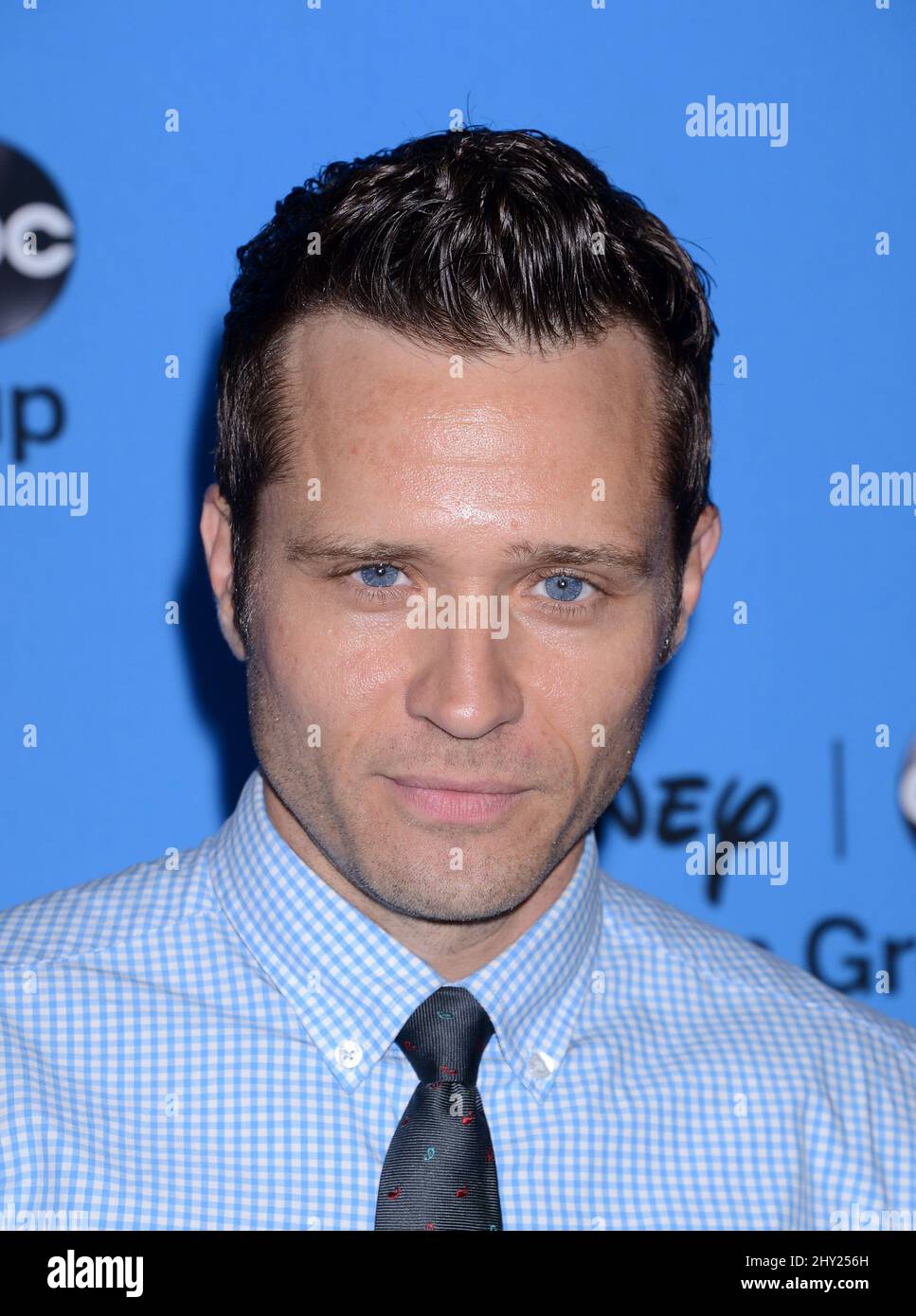 Seamus Dever attends the ABC Summer TCA Press Tour held at the Beverly ...