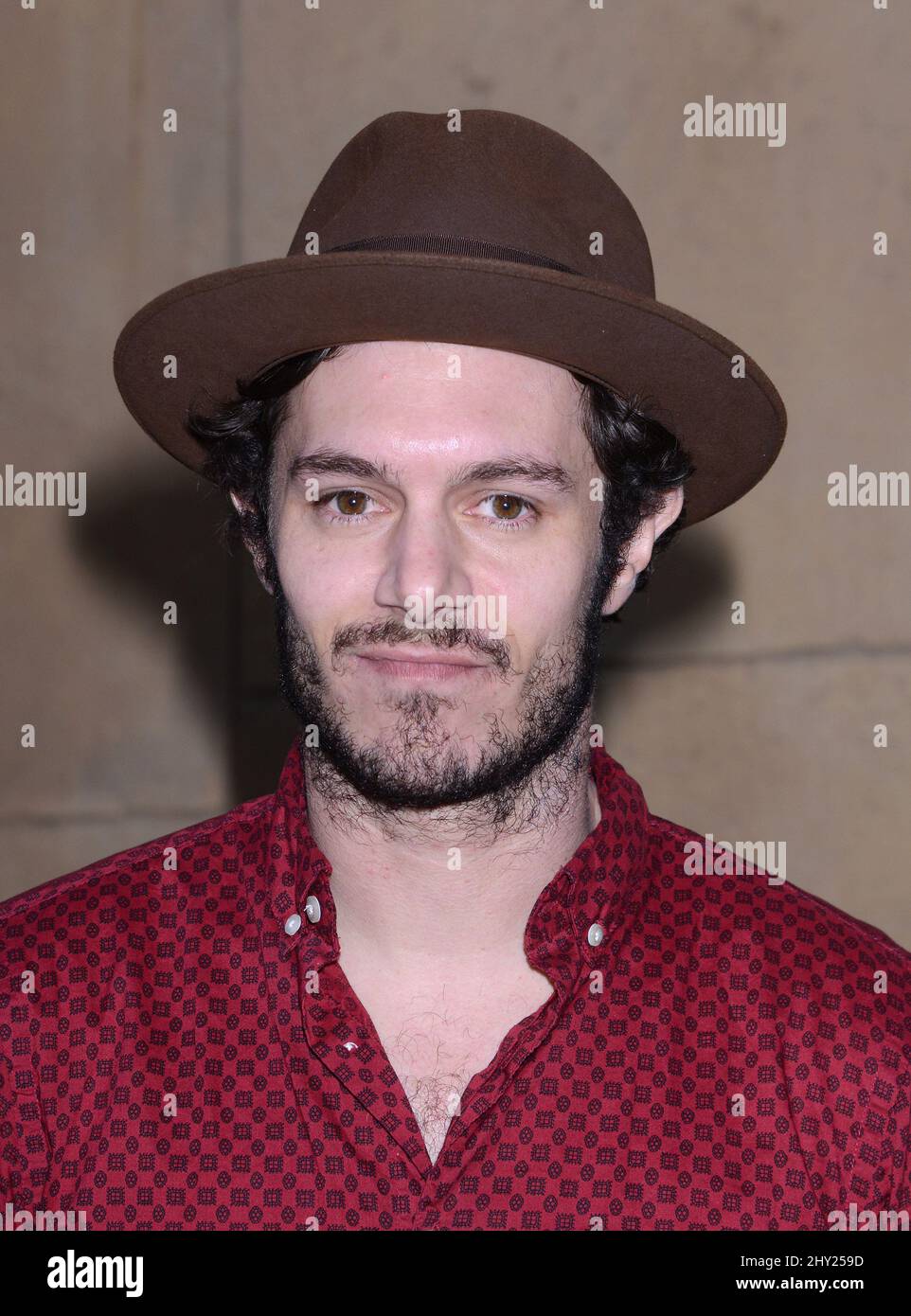Adam Brody attending the "Lovelace" Los Angeles Premiere held at the ...