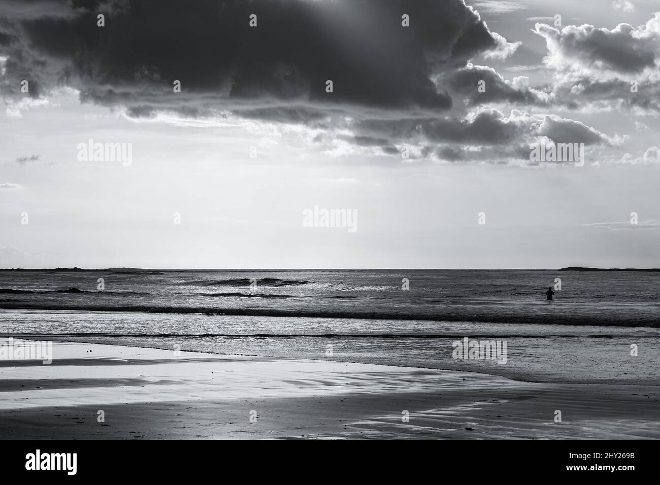 Scenic view of ocean waves washing the sandy coastline in grayscale ...