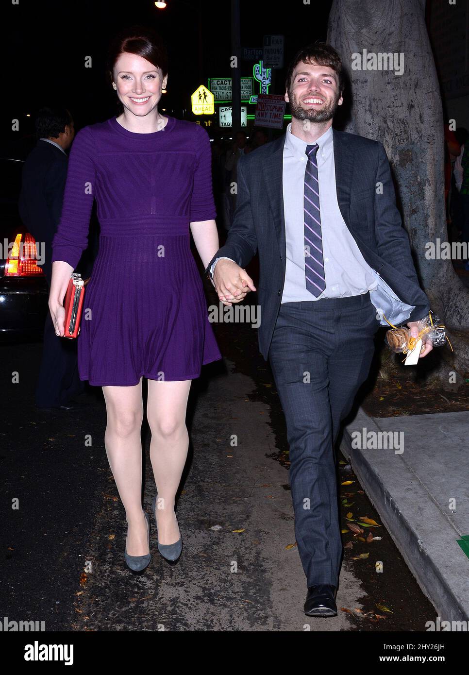 Seth Gabel And Wife Pregnat