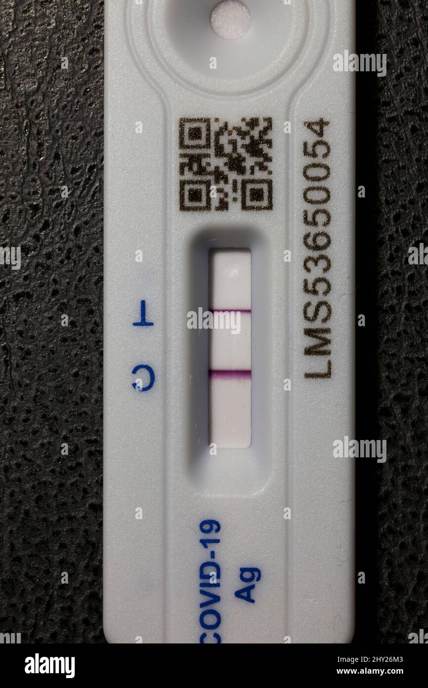 Positive Covid 19 lateral flow test / rapid lateral flow antigen ...
