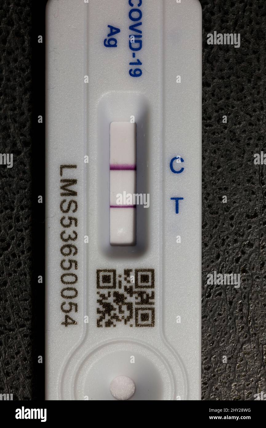 Positive Covid 19 lateral flow test / rapid lateral flow antigen ...