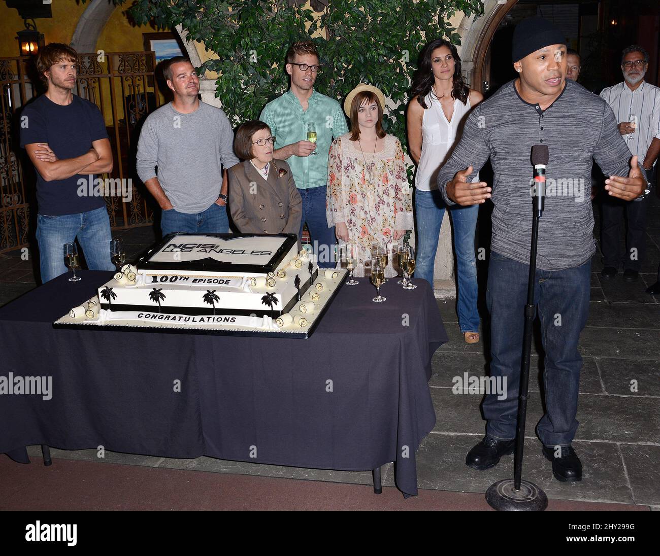 Eric Christian Olsen, Chris O'Donnell, Daniela Ruah, Linda Hunt ...