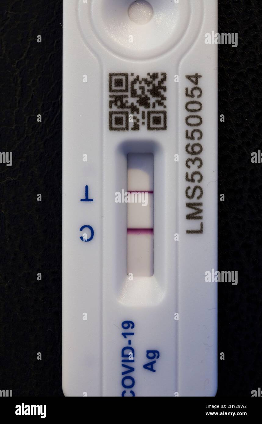 Positive Covid 19 lateral flow test / rapid lateral flow antigen ...