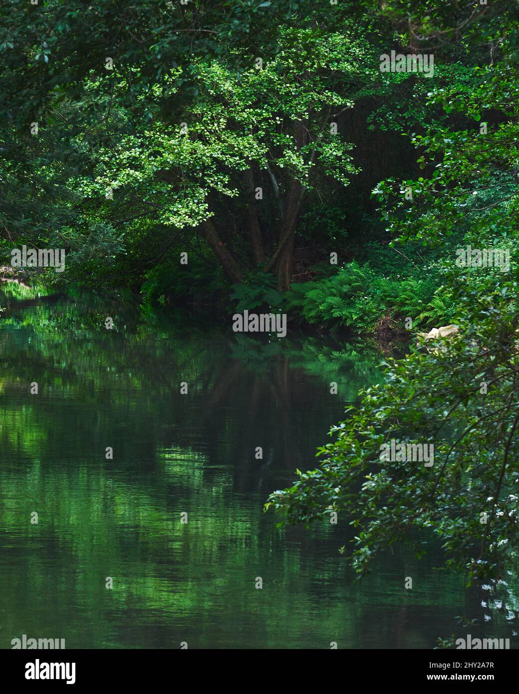Caima river hi-res stock photography and images - Alamy