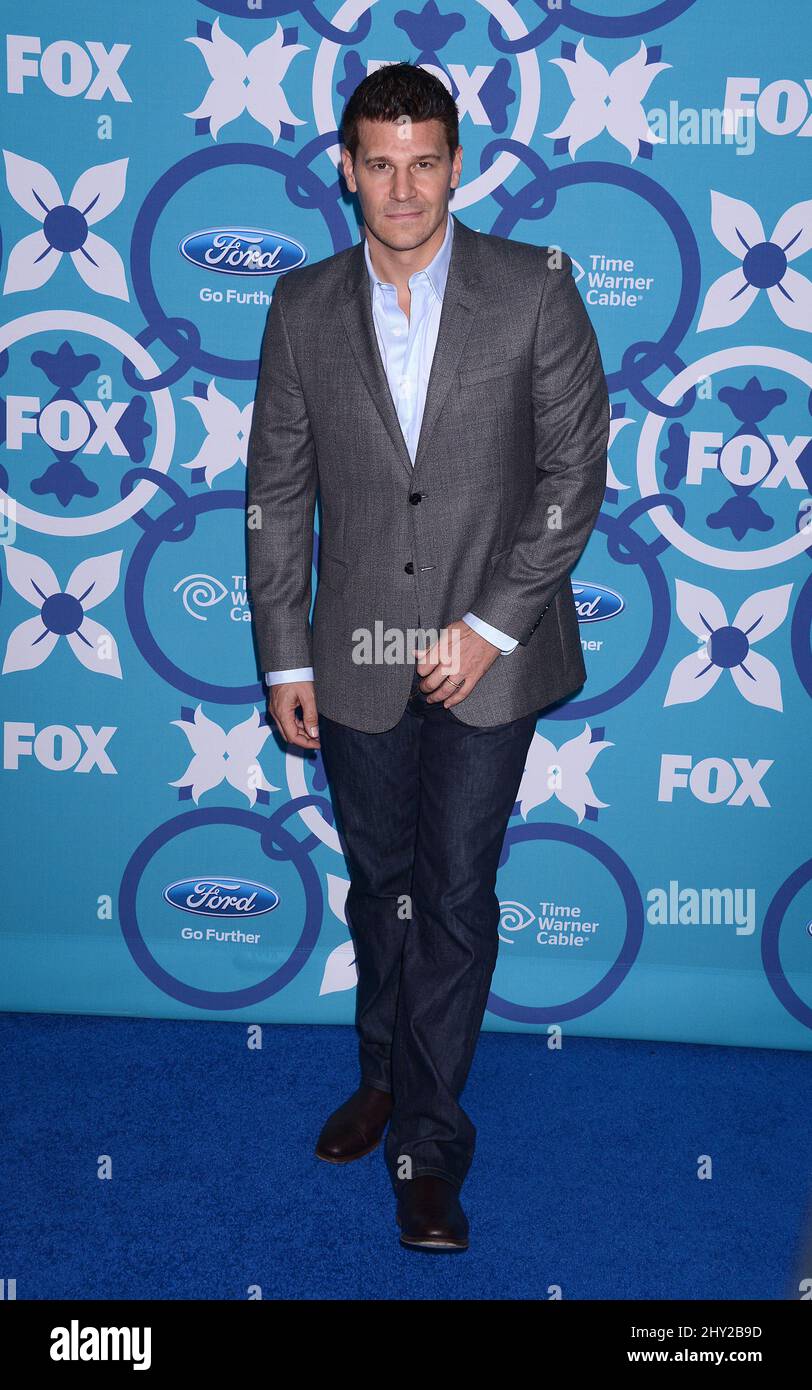 David Boreanaz attends the FOX Fall Eco-Casino Party held at The Bungalow, Santa Monica ...