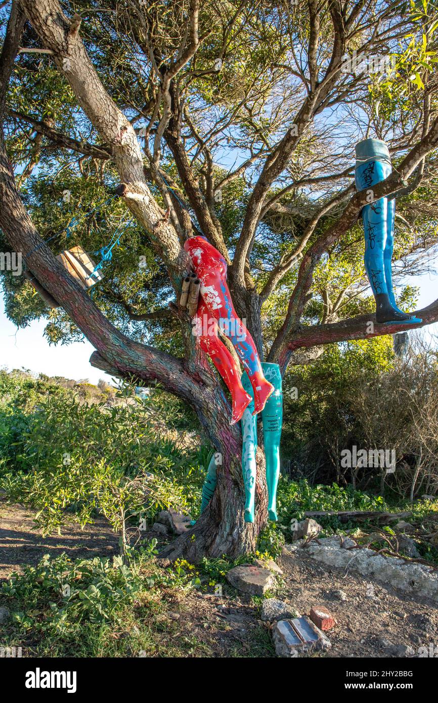 The Albany Bulb is a unique waterfront park located along the San ...