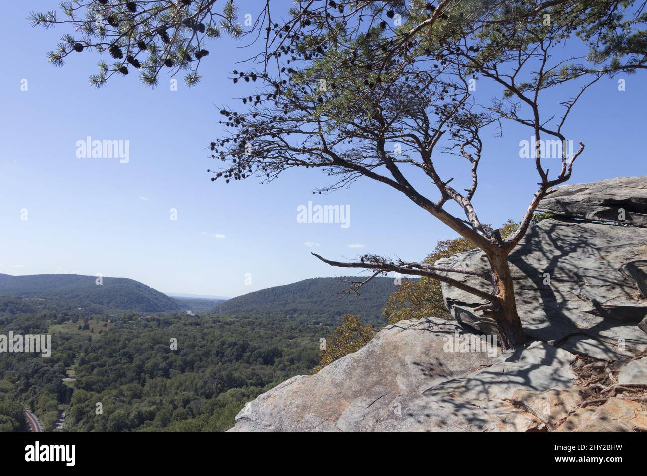 Beautiful landscape of trees in rocks Stock Photo - Alamy