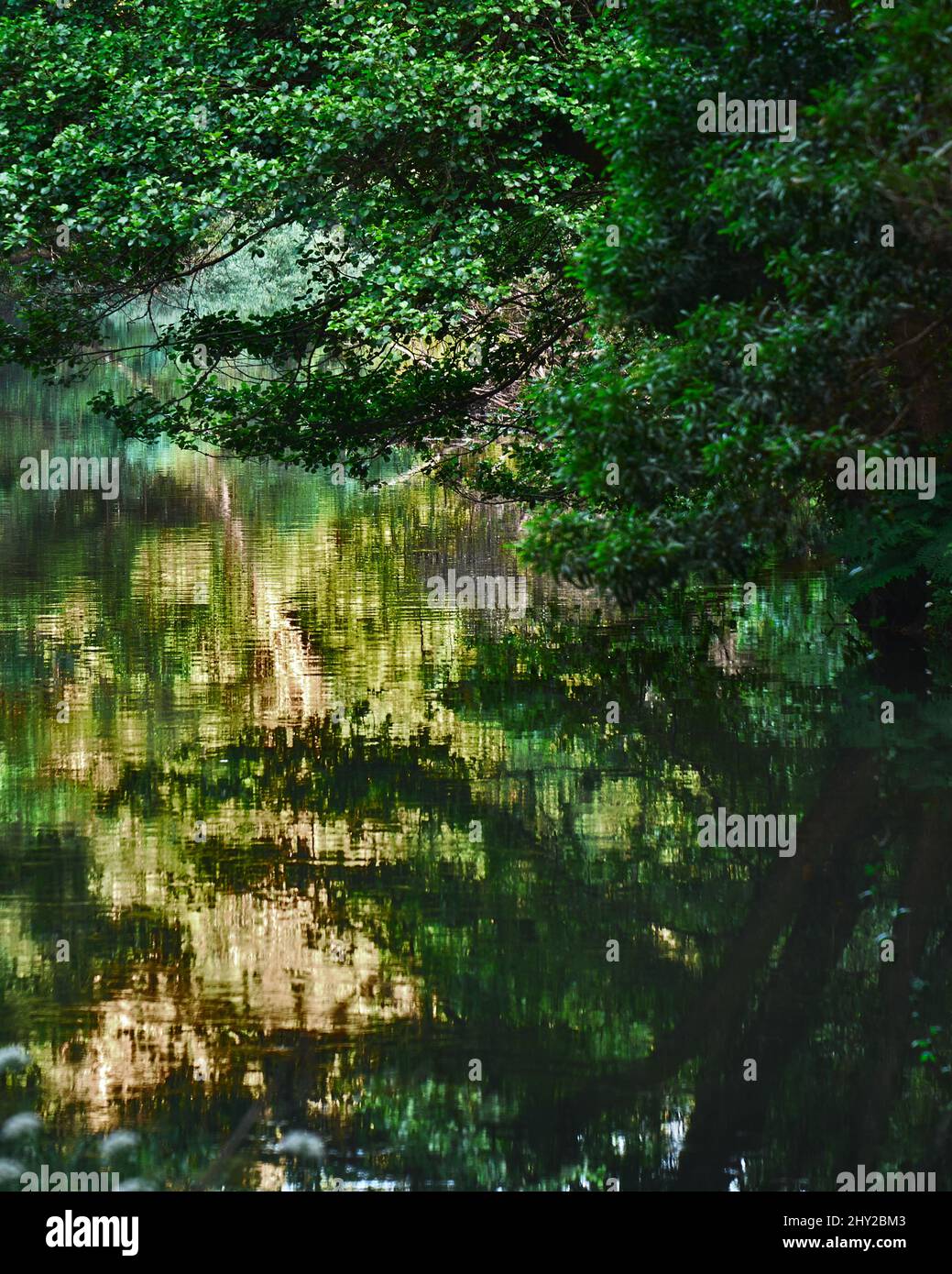 Caima river hi-res stock photography and images - Alamy