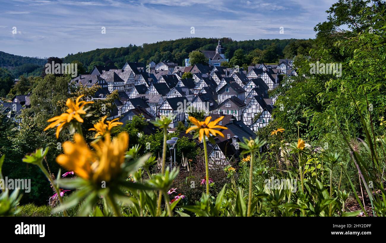Beautiful shot of a town in a forest under the cloudy skies Stock Photo ...
