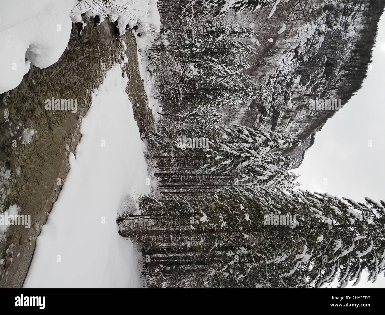 Winter landscape in the Bluntau valley at the foot of the Tennen ...