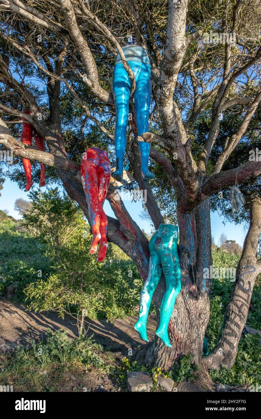 The Albany Bulb is a unique waterfront park located along the San ...