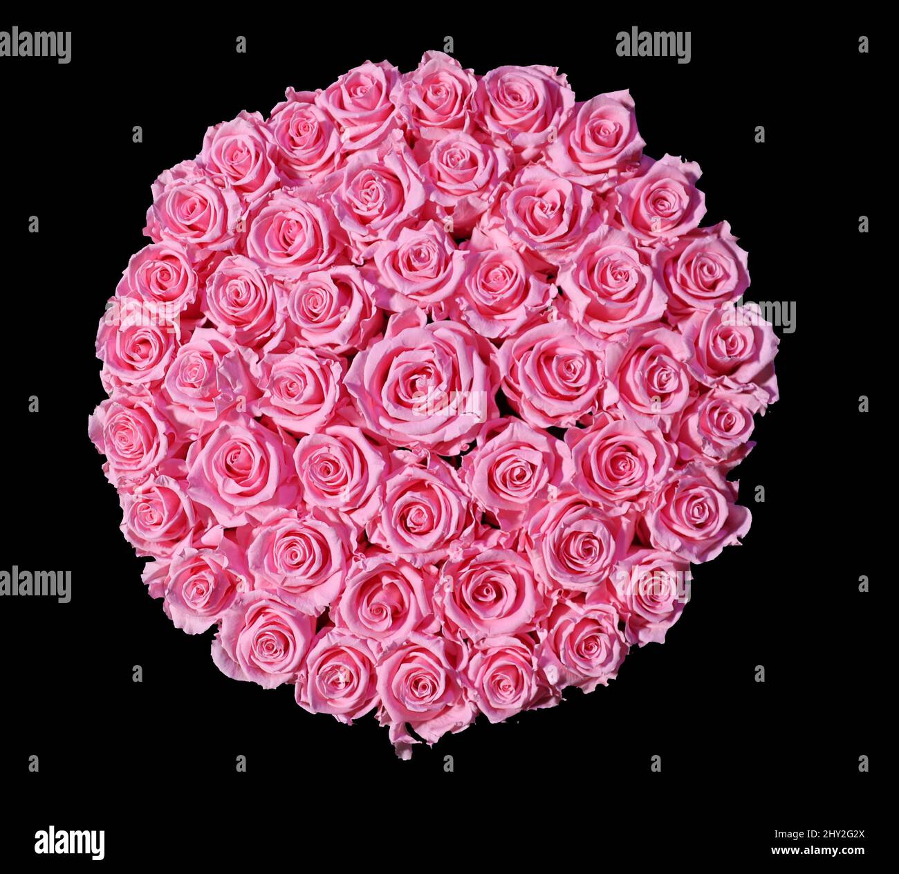 Round bouquet of pink roses isolated on a black background Stock Photo ...