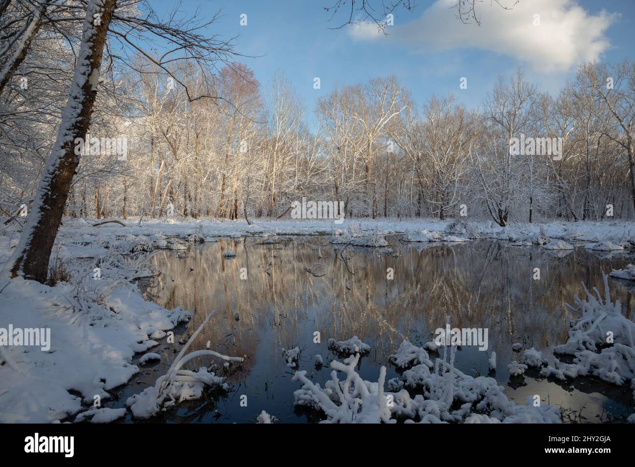 Cold snowy pond hi-res stock photography and images - Alamy