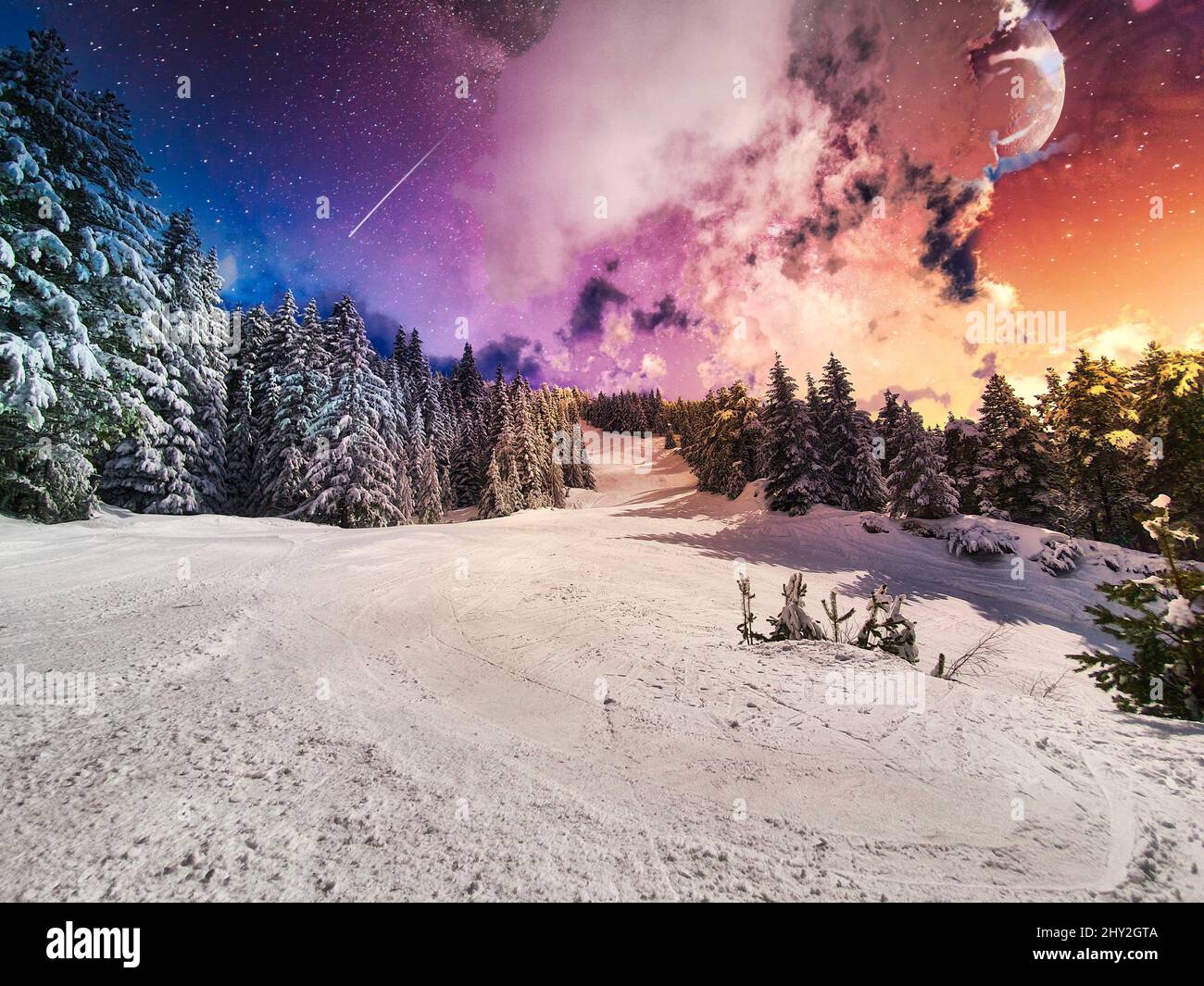 3D rendering of a winter landscape with snowfields and fir trees on a ...