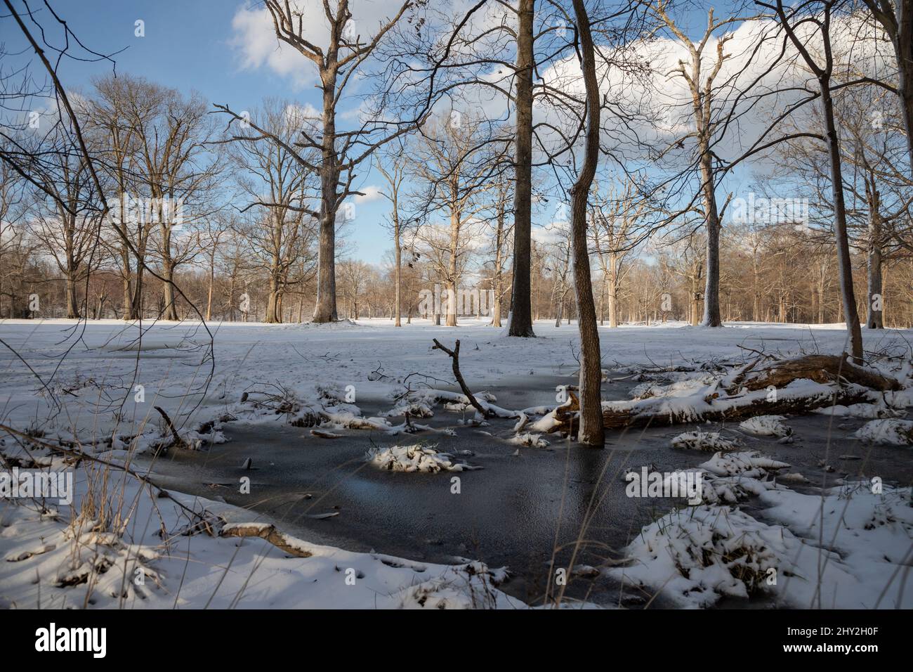 Empty pond hi-res stock photography and images - Alamy