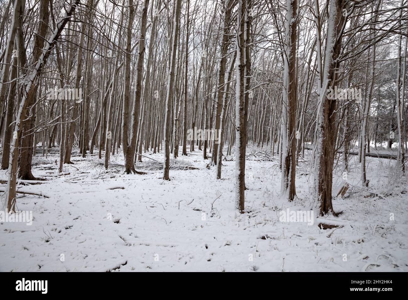 Freezing winter cold hi-res stock photography and images - Alamy