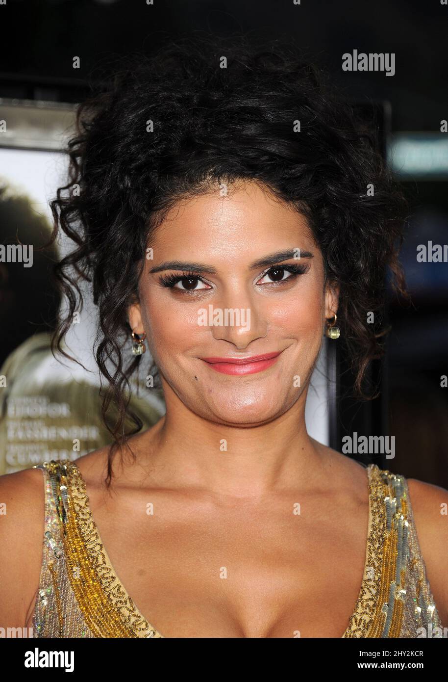 Ashley Dyke attending the "12 Years A Slave" screening held at Director ...