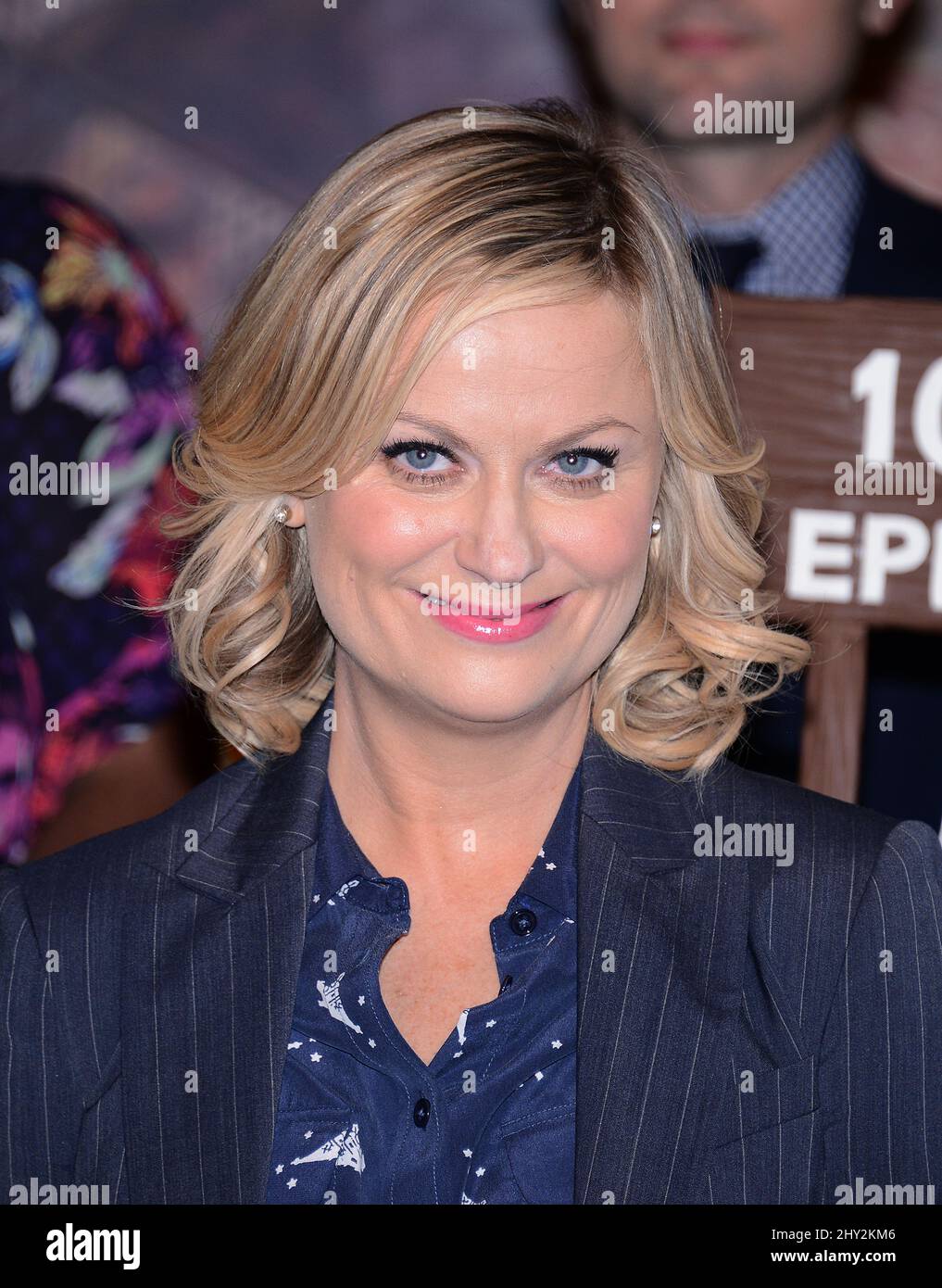 Amy Poehler at the Parks and Recreation 100th episode celebration at ...