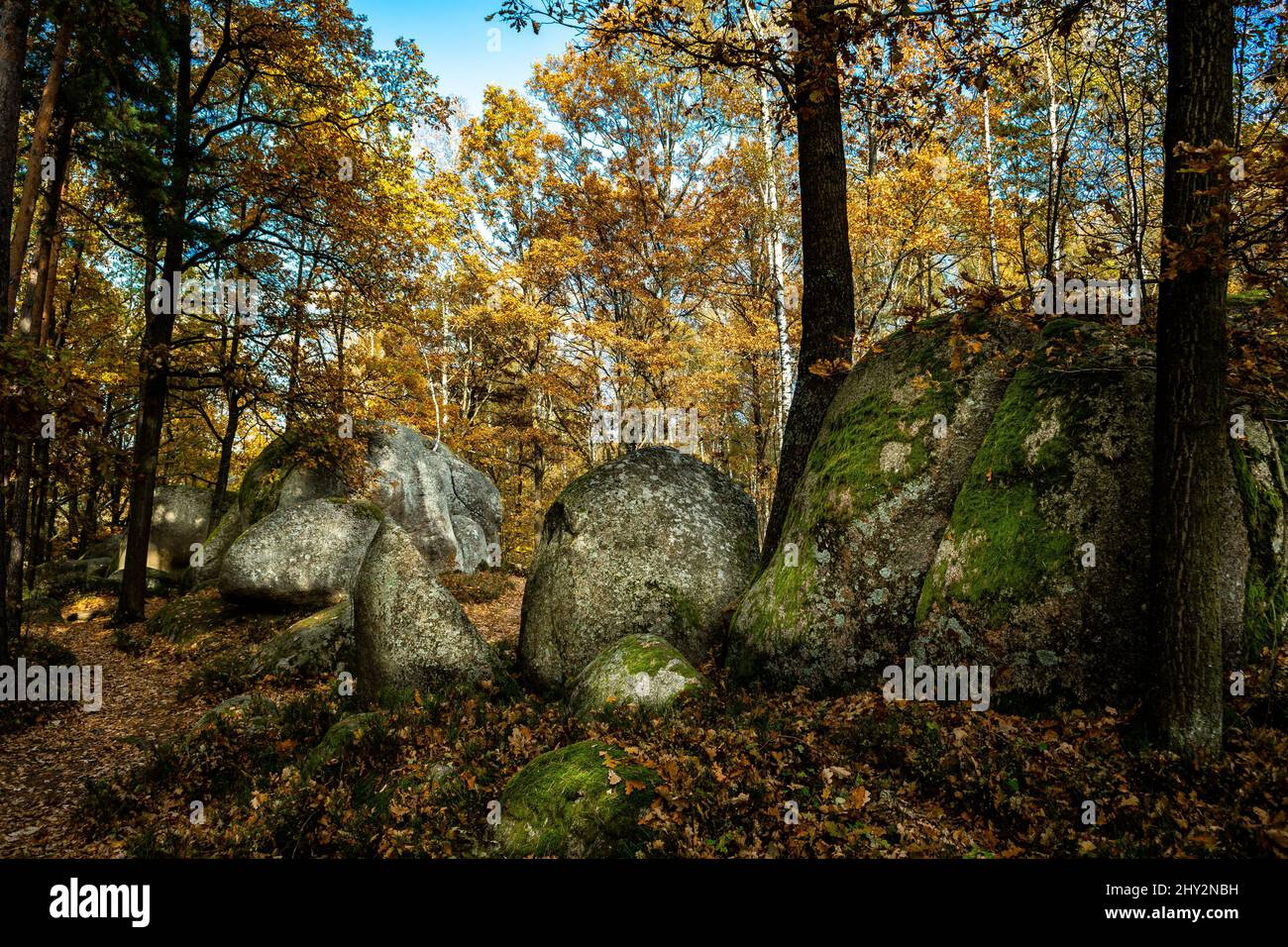 Mystic Landscape Of Nature Park Blockheide With Granite Rock Formations ...